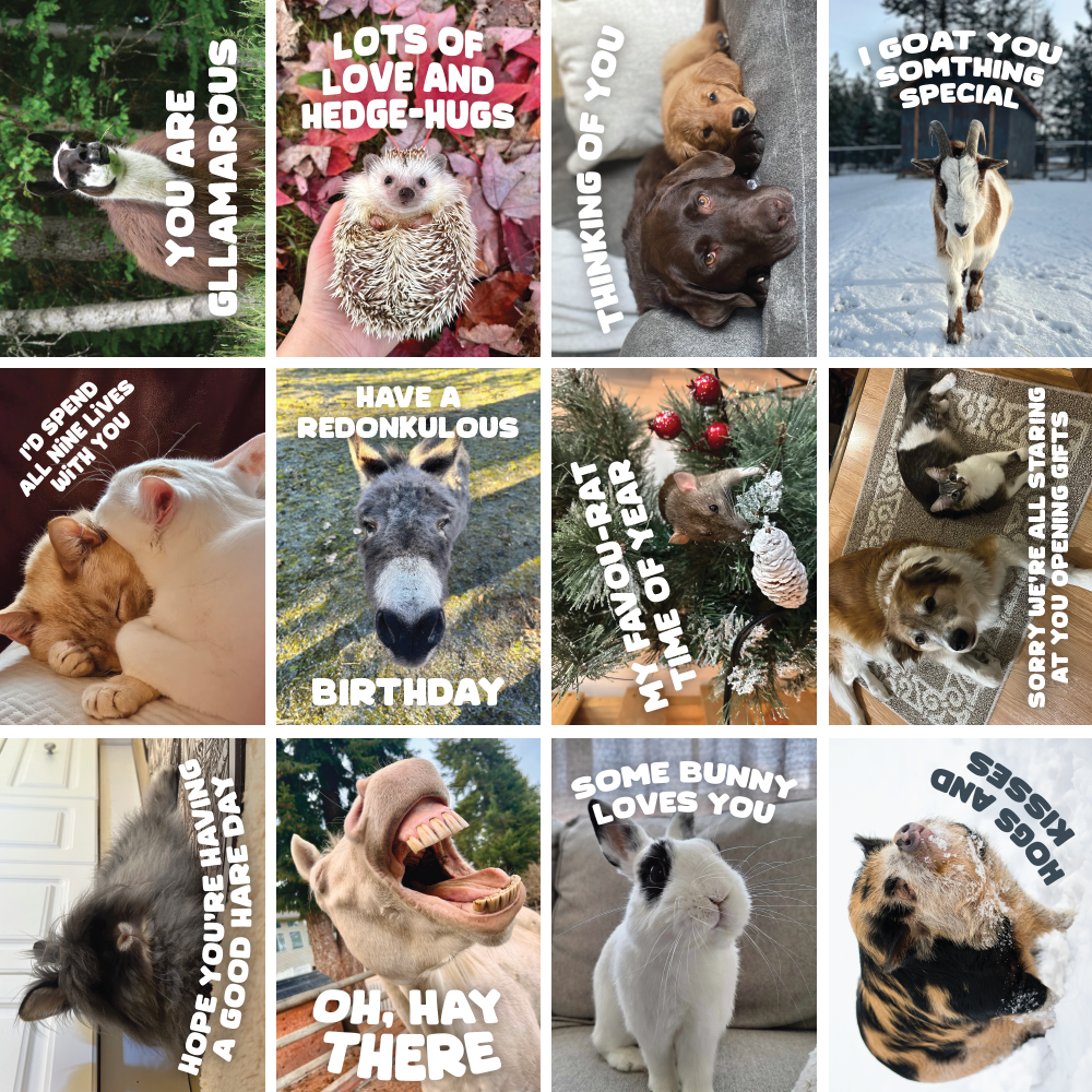 Greeting Cards – BC SPCA