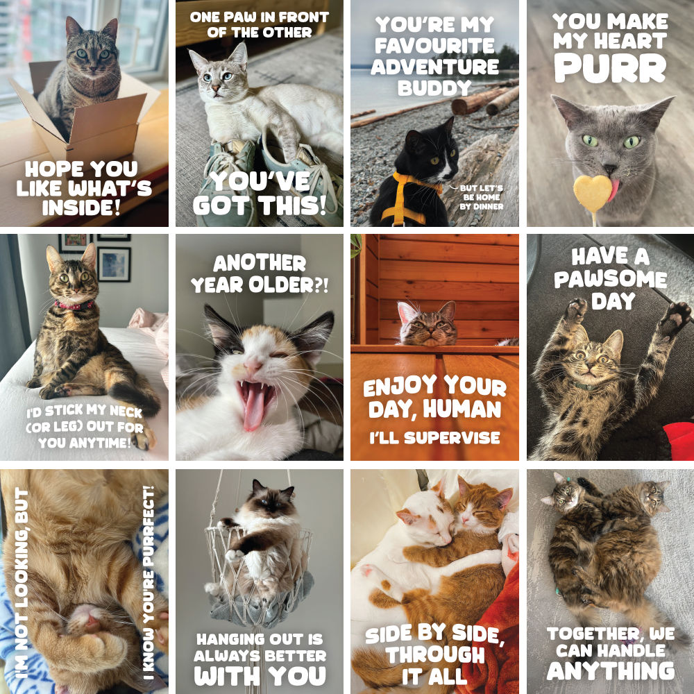 Greeting Cards – BC SPCA