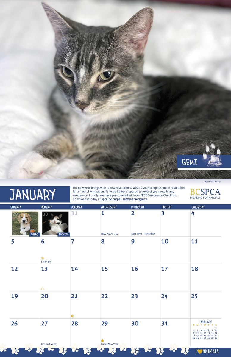 BC SPCA Calendar