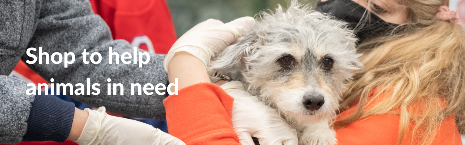 BC SPCA Online Store