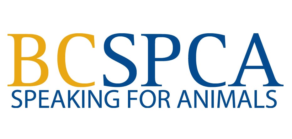 General Membership – BC SPCA