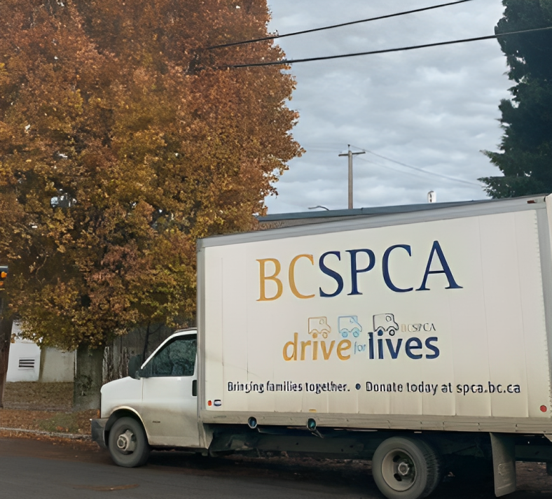 Drive for Lives - Animal Transfer – BC SPCA
