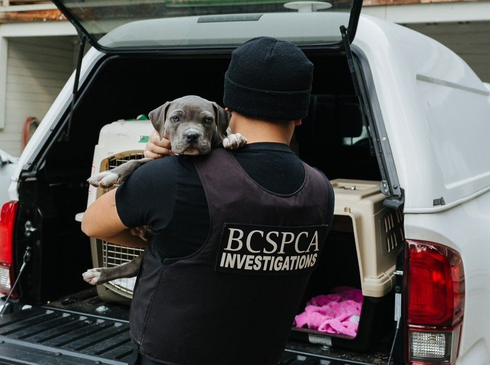 Animal Protection Investigation Support – BC SPCA