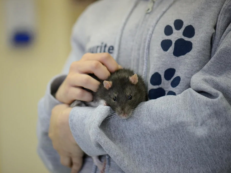 Critter Care – BC SPCA